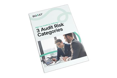 3 IRS Audit Risk Categories